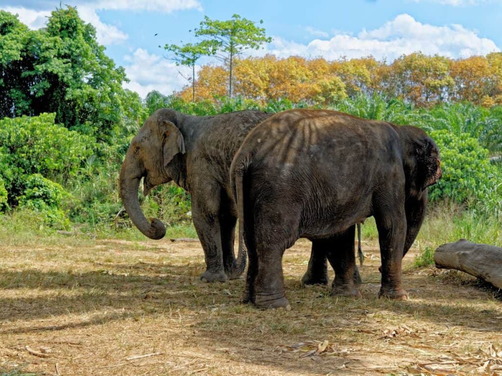 Top 10 Unforgettable Experiences in Thailand